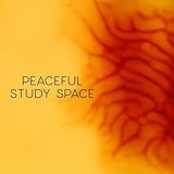 【発売日：2025年08月25日】・製造元:Hz Meditation Experience
