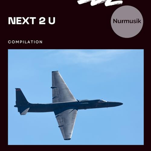 Play Next 2 U by VARIOUS ARTISTS on Amazon Music Unlimited