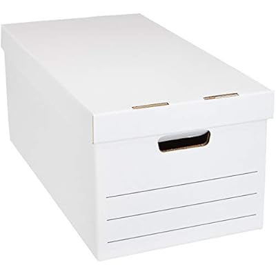 Amazon.com: binder storage