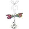 Amazon.com: Ganz Spring Decor Delightful Dragonfly Wishes Ornaments 3 ...