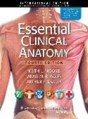 Buy Essential Clinical Anatomy Book Online at Low Prices in India ...