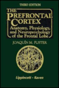 The Prefrontal Cortex: Anatomy, Physiology, and Neuropsychology of the ...