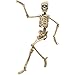 Amazon.com: e Crafty 16" Halloween Skeleton,Full Body Skeleton with ...