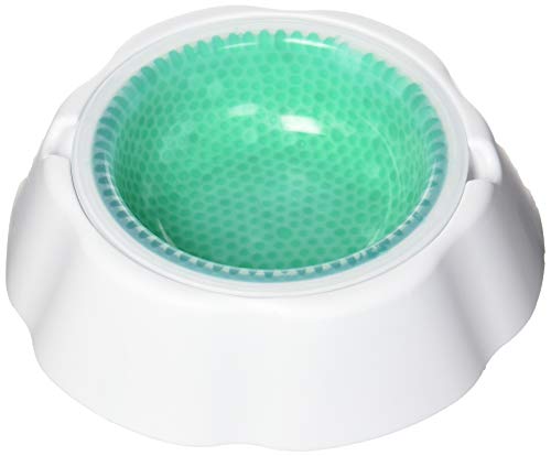 4 Best Dog Water Bowl Coolers to Keep Your Pet's Water Fresh & Cool