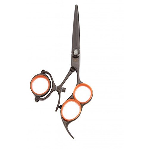 Amazon.com : Shears Direct 3 hole double swivel Black : Beauty ...
