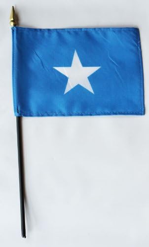 Amazon.com : Somalia - 4 in x 6 in World Stick Flag : Patio, Lawn & Garden