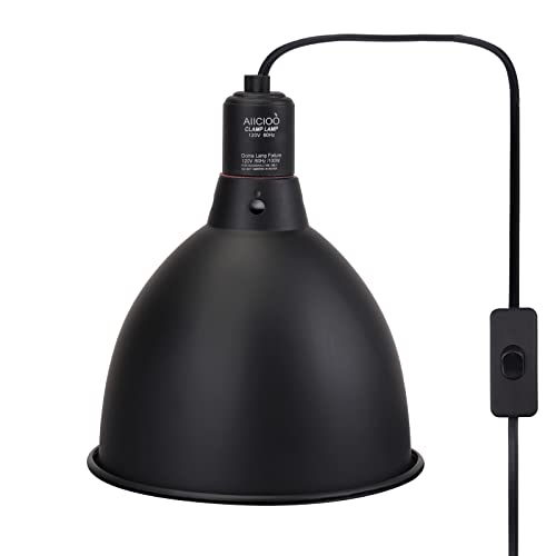 Shining a Light on the Top 10 Reptile Lights from Petco: A ...