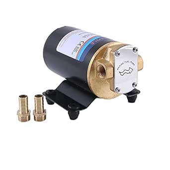 Amazon.com: Jieotwice 12V/24V 12L/MIN DC Gear Oil Pump, Micro Small ...