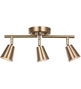 CRAFTRONOS 3 Light Track Lighting Kit, Matt Brass Finish Canopy with ...