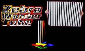 Amazon.com: Zebra Wonder Tube - Device for Magic Tricks : Toys & Games
