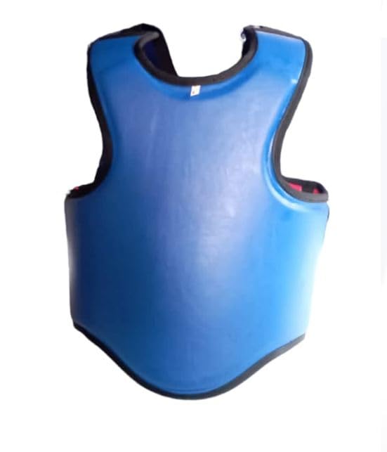 SPINFLUENCE The Unbeatable Wushu Chest Guard (15 MM) (Large) : Amazon ...