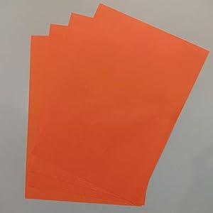 Craftingbees A4 Size Premium Double Sided Colored Paper for Art & Craft ...