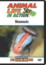 Amazon.com: Animal Life in Action Mammals Schlessinger Science Library ...