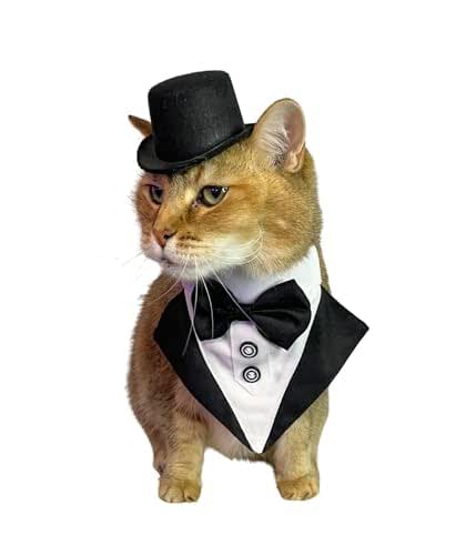 Amazon.com: Cat Tuxedo and Top Hat Costume – Formal Wedding Outfit for ...