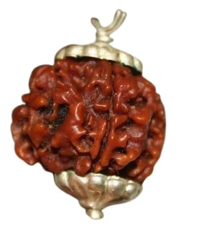 Buy GemsTech 5 Mukhi Rudraksha Traditional Bead Panchmukhi Rudraksha ...