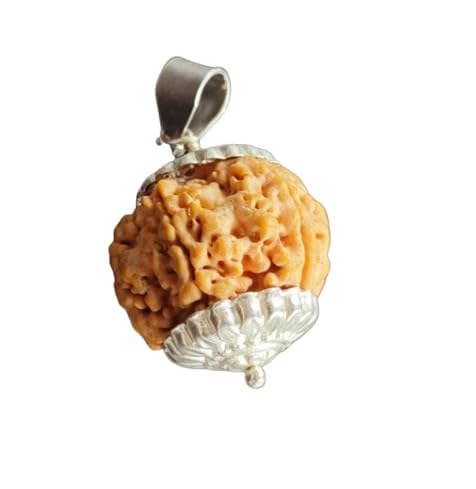 RDESIGN Religious 6 Mukhi Rudraksha Silver Capped Cheh Mukhi Rudraksha ...