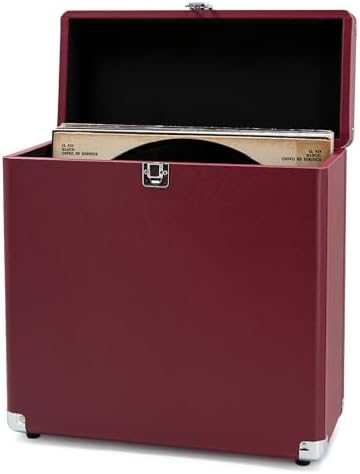 Amazon.com : Alessia Cara Portable Vintage Vinyl Record Storage Case ...