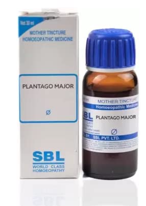 SBL Plantago Major Mother Tincture Q- 30 ml : Amazon.in: Health ...