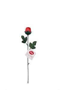 Amazon.com : Madelaine Chocolate One Dozen Red Sweetheart Roses ...
