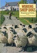 Working Sheepdogs: Management and Training: Templeton, John, Mundell ...
