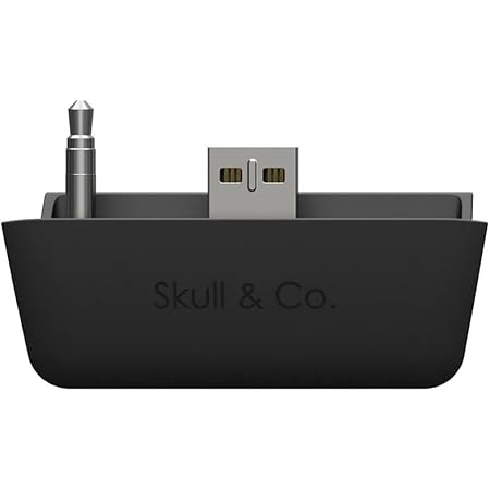 Amazon.com: Skull & Co. AudioStick Bluetooth 5.0 Wireless Audio ...
