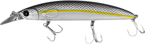 Best Bait for Leopard Sharks: Top Lures and Bait Essentials – Frenchie ...