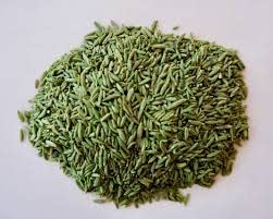 Farm Fresh Fennel Seeds Saunf Sweet 200 Grams A051 : Amazon.in: Grocery ...