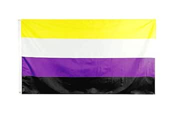 FLAGLINK Nonbinary Pride Flag- 3x5 Fts - LGBTQIA Non-Binary NB Gender Rainbow Banner : Amazon.co ...
