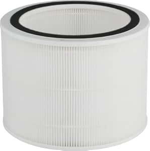 Amazon.com: Greenlite Advanced 2-Layer Replacement Filter for Air ...