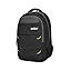 Buy Safari Omega spacious/large laptop backpack with Raincover, college ...
