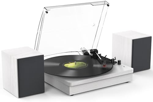 Amazon.com: Vinyl Record Player with Two Stereo Speakers, Bluetooth ...