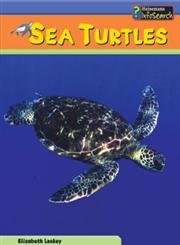 Sea Turtles (Sea Creatures): Laskey, Elizabeth: 9781403435644: Amazon ...