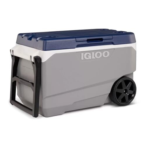 Large Igloo Cooler – The 15 best products compared - Your Motor Guide