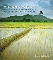 Vision & Voice 1st (first) edition Text Only: David duChemin: Amazon ...