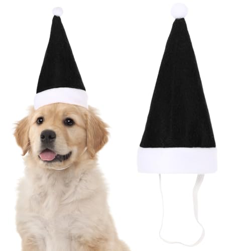 Best Xmas Hats for Cats: Adorable Holiday Costumes and Festive Photo ...