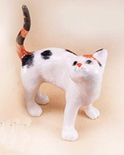 Discover the Best Products for Your Tri Color Cat: Top 10 Picks Review ...
