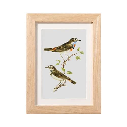 Amazon.com: Solid Wood Picture Frame Display Pictures Wood Photo Frame ...