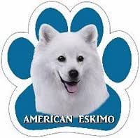 Amazon.com: American Eskimo Paw Shaped Car Magnet : Home & Kitchen