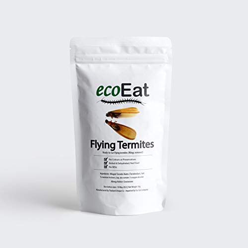 ecoEat Edible Insects Dehydrated Flying Termites- 20g Package – Edible ...