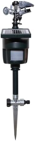 Amazon.com : Splanteen Lawn Solar Motion Sensor Water Sprinkler Motion ...