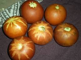 Foot Kachri Fruit Seeds : Amazon.in: Garden & Outdoors