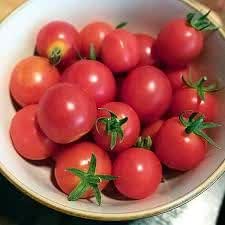 Amazon.com : Baxsters Early Bash Cherry Tomato Seeds - 25/50/100 Seed ...