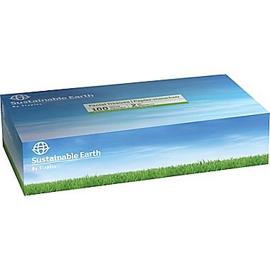 Amazon.com: Sustainable Earth by Staples Facial Tissues, Flat Box, 2 ...
