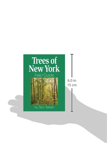 Nys Tree Identification Chart Tree Giveaway: Stewards Of Ewen Park,