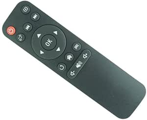 Amazon.com: Remote Control for Aukey RD-850 & Rigal RD-828 &Caiwei A7 ...
