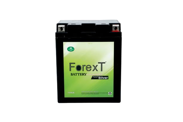 Forext FX 14LB-12v 14 Ah 2-Wheeler Battery, Black : Amazon.in: Car ...