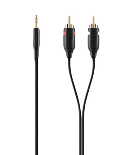 Amazon.in: Buy Belkin Mini-Stereo to RCA Audio Cable Online at Low ...