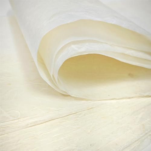 Amazon.com : 50 Sheets A4 Mulberry Paper Natural Fiber Rice Paper Art ...