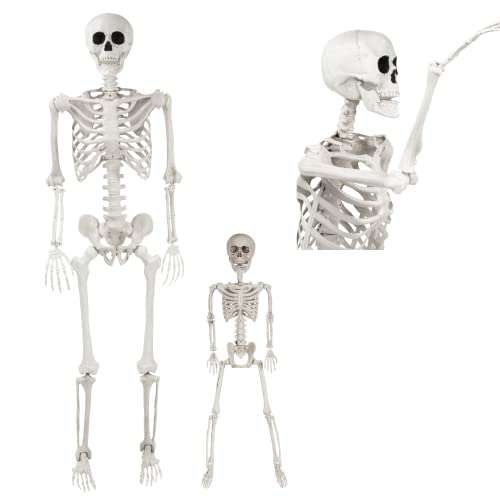 Snapklik.com : Posable Life Size Human Skeleton Family Set Of 2- Adult