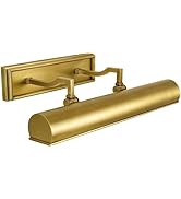 ZHTIECHUI Modern 12in Brass Picture Lights for Wall Hardwired, Gold ...